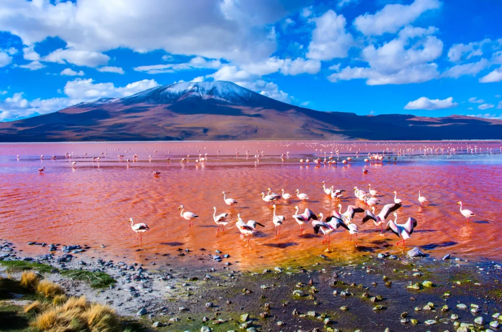 Guía completa Salar de Uyuni en Febrero 2027 ¿Es buen mes?